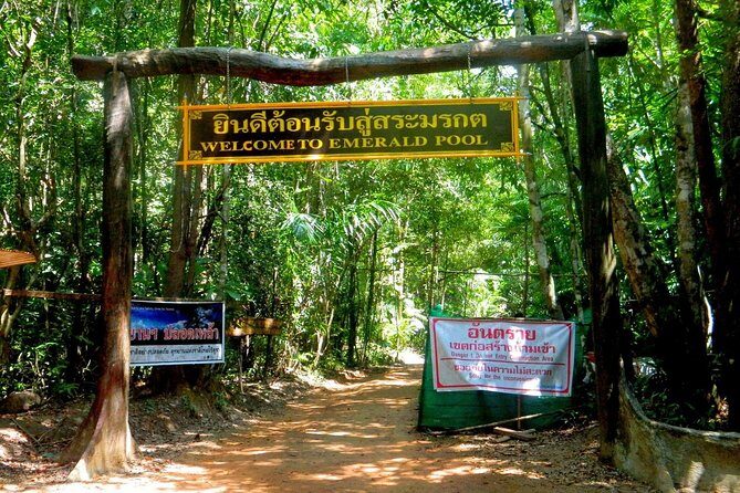 Half-Day Jungle Tour Including Crystal Pool and Krabi Hot Springs - What to Expect from the Tour