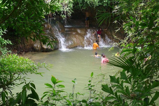Half-Day Jungle Tour Including Crystal Pool and Krabi Hot Springs - The Real Experience: What Travelers Say
