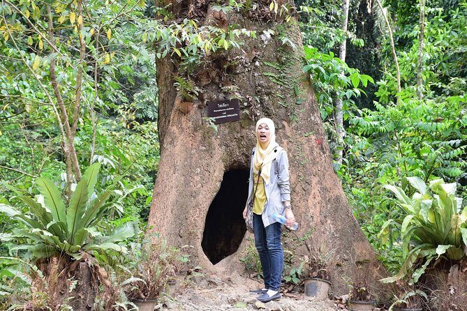Half-Day Jungle Tour Including Crystal Pool and Krabi Hot Springs - The Sum Up