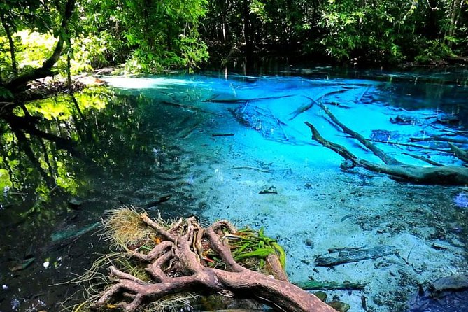 Half Day Jungle Tour to Emerald pool and Krabi Hot Spring - What You Can Expect at Each Stop