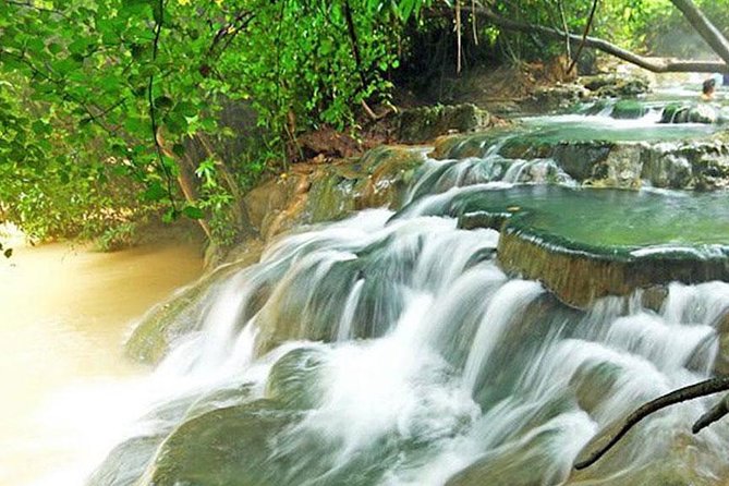 Half Day Jungle Tour to Emerald pool and Krabi Hot Spring - The Value of This Tour