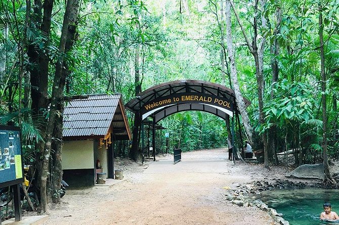 Half Day Jungle Tour to Emerald pool and Krabi Hot Spring - Final Thoughts: Is It Worth It?