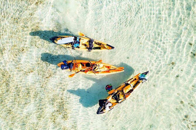 Half-Day Kaneohe Bay Sandbar Self-Guided Kayaking Experience - Who Will Love This Tour?