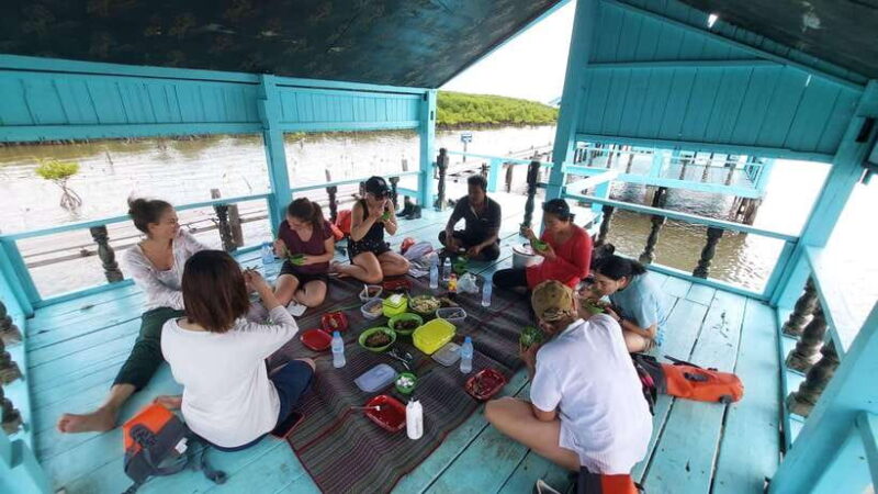 Half Day Kayak Guided Tour to the Green Mangroves Forest - The Sum Up: Who Is This Tour Perfect For?