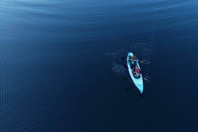 Half Day Kayak Rental on Sebago Lake - Key Points