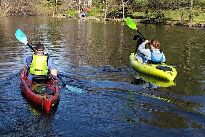 Half Day Kayak Rental on Sebago Lake - The Value of the Experience
