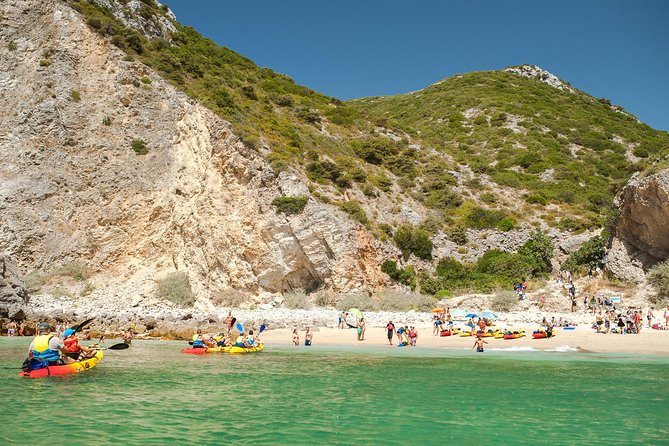 Half-Day Kayak Tour in Sesimbra - Customer Feedback and Experiences