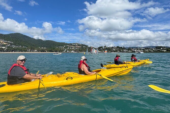 Half Day Kayak Turtle Tour - Actual Experiences and Concerns from Past Participants