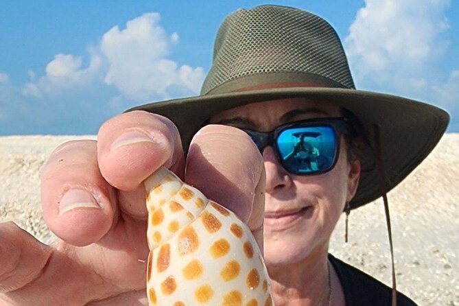 Half Day Keewaydin Shelling and Beach Adventure (Private) - The Sum Up