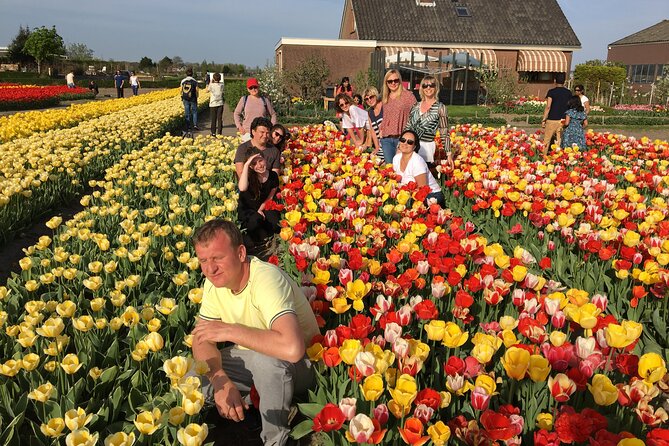 Half Day Keukenhof Tulip Paradise Trip from Amsterdam - Final Thoughts: Is This Tour Right for You?