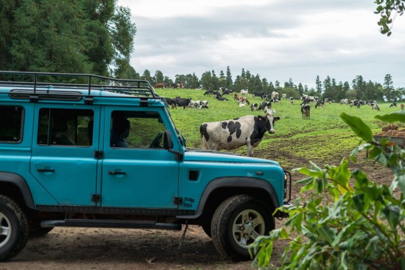 Half Day Lagoa do Fogo 4X4 tour and Gin Library - Key Points