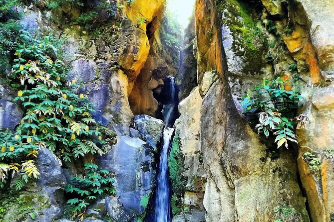 Half Day Lagoa Do Fogo - Experience Highlights