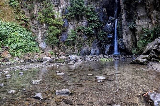 Half Day Lagoa Do Fogo - Scenic Route and Local Guide