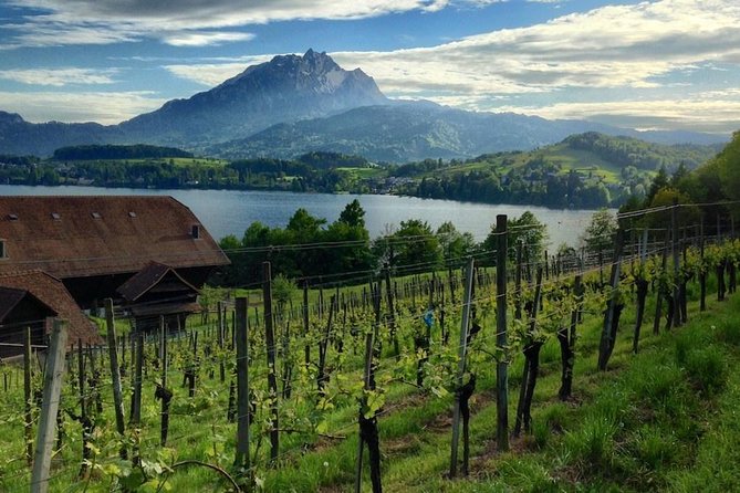 Half-Day Lake Lucerne Country Walk - Ascending to Panoramic Viewpoints