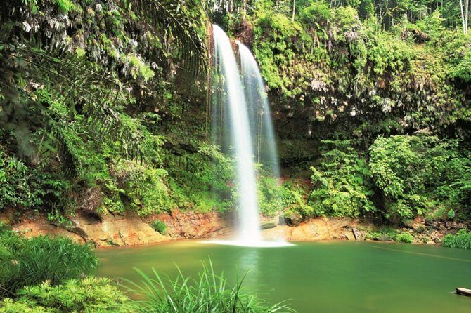 Half-Day Lambir Hills National Park Tour from Miri - Introduction: What Makes This Tour Worth Considering?