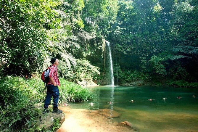 Half-Day Lambir Hills National Park Tour from Miri - The Value of Guided Tours in Lambir Hills