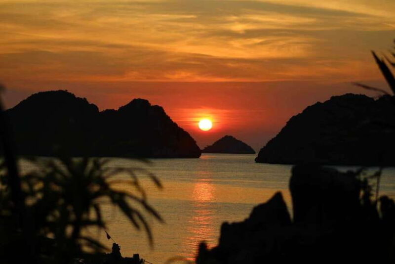 Half day Lan Ha Bay excursion ( 4 hours ): Kayaking, Snorkel - The Itinerary: What to Expect