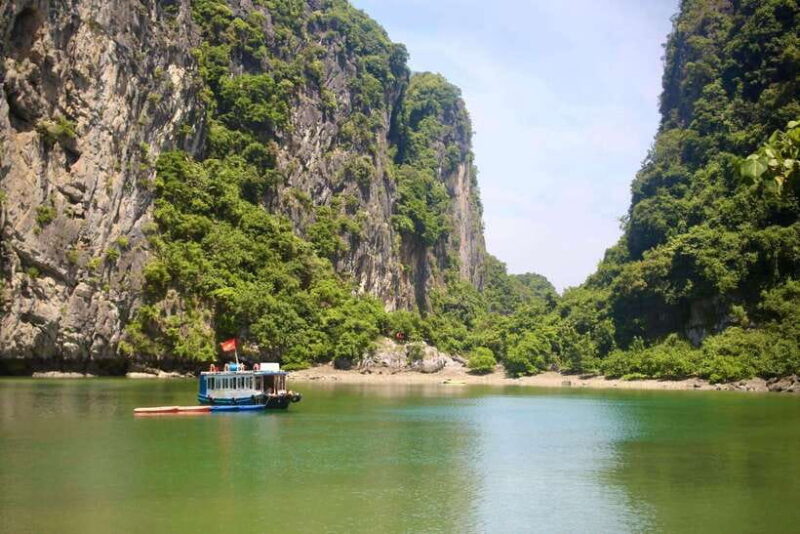Half day Lan Ha Bay excursion ( 4 hours ): Kayaking, Snorkel - Why This Tour Is Worth Considering