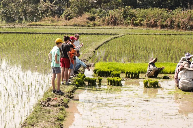 Half-Day Lanna Countryside Cycling Tour in Chiang Mai - The Value of the Experience