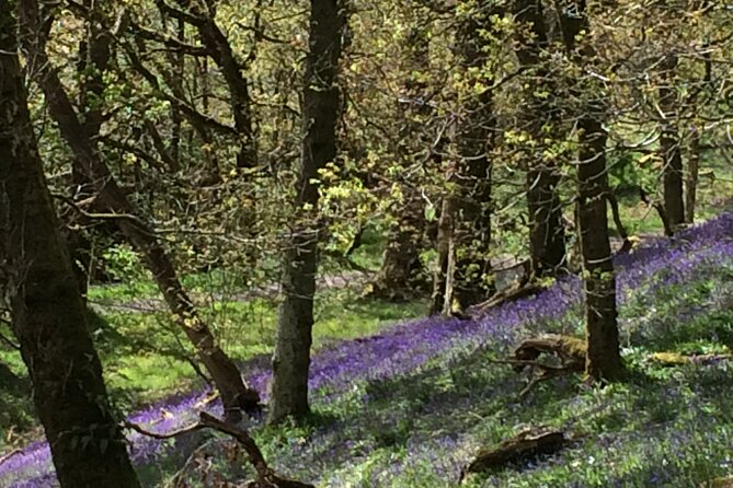 Half Day Loch Katrine Explorer Ebike Tour - FAQ