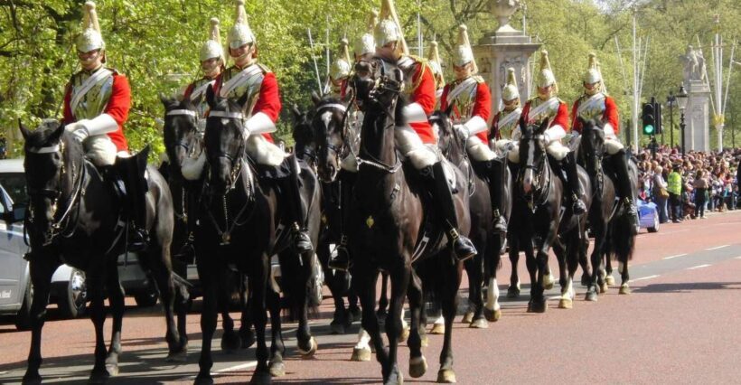 Half Day London Panoramic Private Tour - A Closer Look at the Itinerary and Experiences