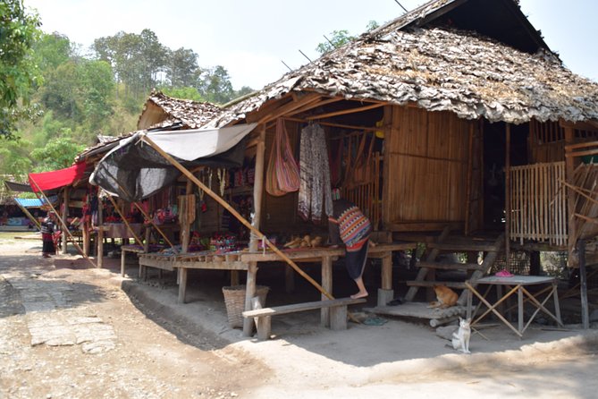 Half Day Long Neck hill tribe and Elephant POOPOOPAPER Park (Private Tour) - Who Is This Tour Best For?