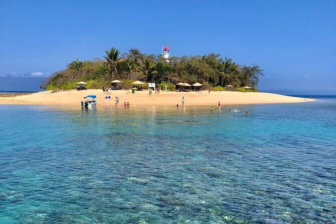 Half Day Low Island and Lagoon Snorkeling from Port Douglas - Who Should Consider This Tour?
