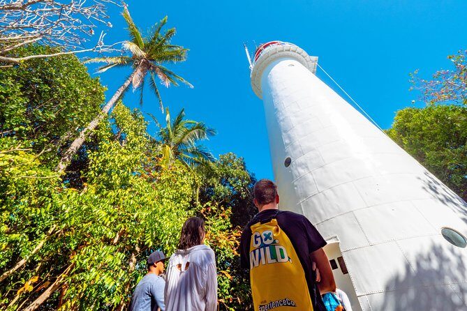 Half Day Low Isles Snorkelling Tour from Port Douglas - Key Points