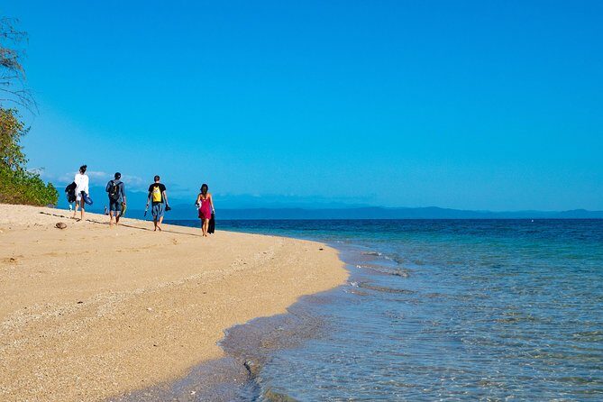 Half Day Low Isles Snorkelling Tour from Port Douglas - A Close Look at the Tour Itinerary