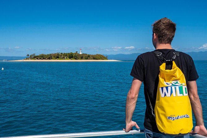 Half Day Low Isles Snorkelling Tour from Port Douglas - The Price and Its Value