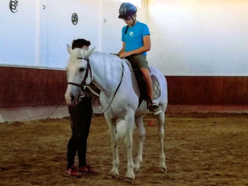 Half-day Lusitanian Horses & Photography Museum private tour - Final Thoughts