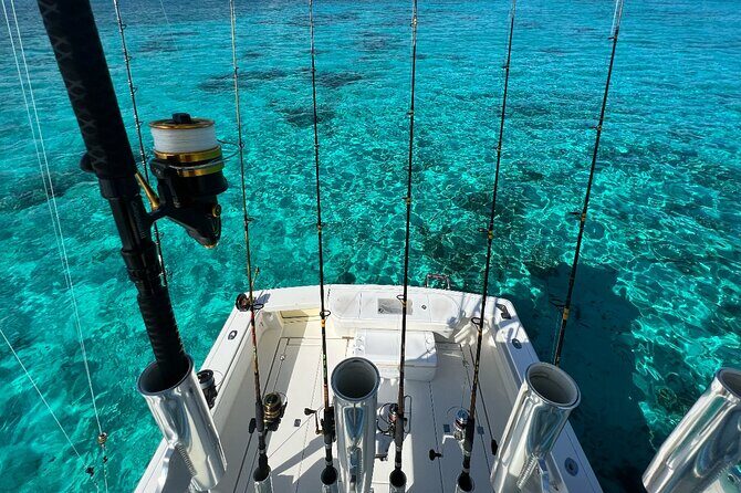 Half Day Luxury Private Fishing Charters in Cayman Islands - Why Choose This Private Fishing Tour in Grand Cayman?