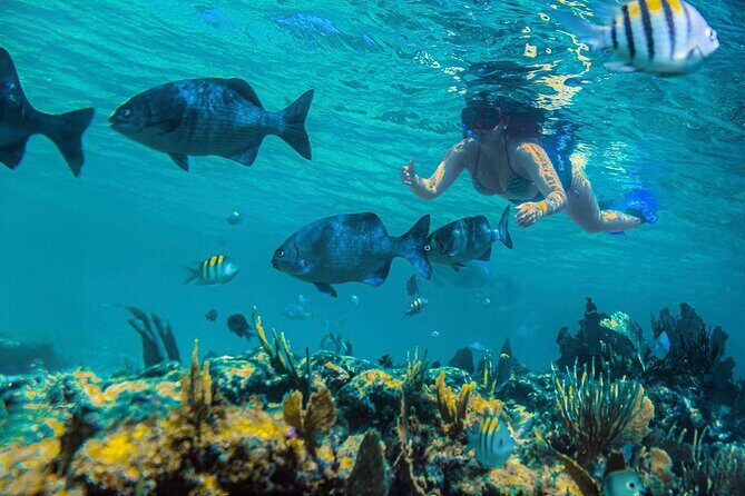 Half-Day Luxury Sailing in Puerto Morelos with Open Bar - Who Will Love This Tour?