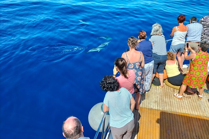Half Day Madeira Island Cruise With Lunch - Booking and Cancellation Policy