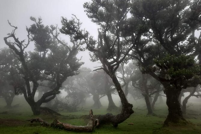 Half Day Madeira West Tour - Key Points