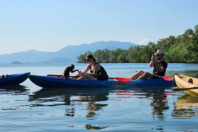 Half Day Mangrove and Lanta Old Town Tour - Final Thoughts: Is It Worth It?