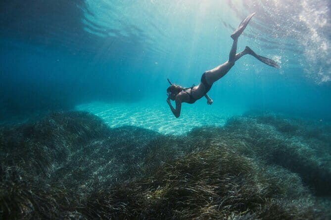 Half Day Mangrove and Lanta Old Town Tour - FAQ