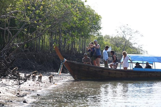 Half day Mangrove by Kayaking or Longtail boat from Koh Lanta - FAQ