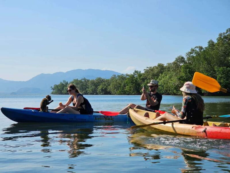 Half Day Mangrove Forest (Morning or Afternoon) - Key Points