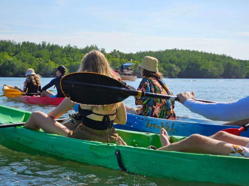 Half Day Mangrove Forest (Morning or Afternoon) - Who Will Love This Tour?