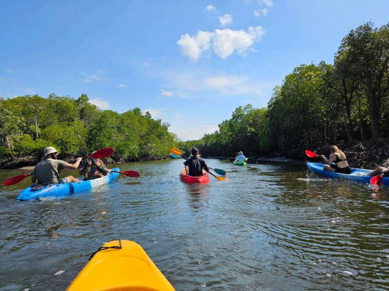 Half Day Mangrove Forest (Morning or Afternoon) - Final Thoughts