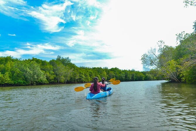 Half Day Mangrove Kayaking Adventure Tour From Koh Lanta - Practical Considerations