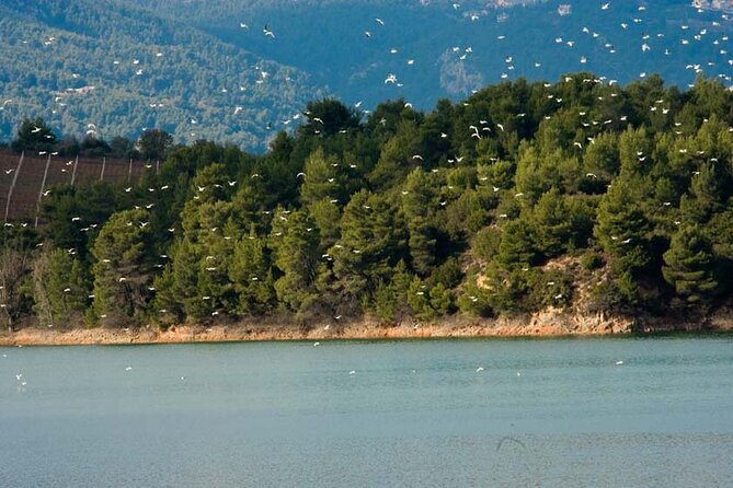 Half Day Marathon Private Tour - What Makes This Tour Stand Out?