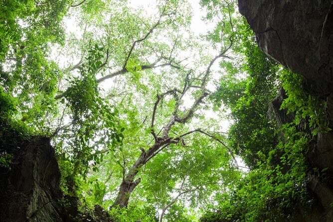 Half day Marble Mountain and Linh Ung Pagoda Tour - The Sum Up: Is This Tour Right for You?