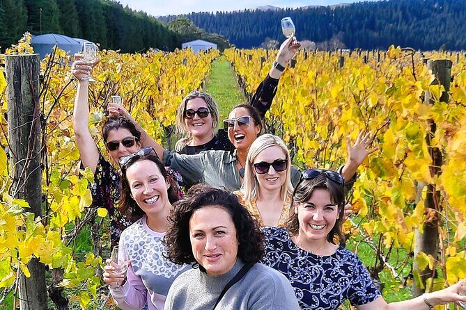 Half Day Martinborough Winery Tour from Wellington - A Practical Look at the Half Day Martinborough Winery Tour from Wellington