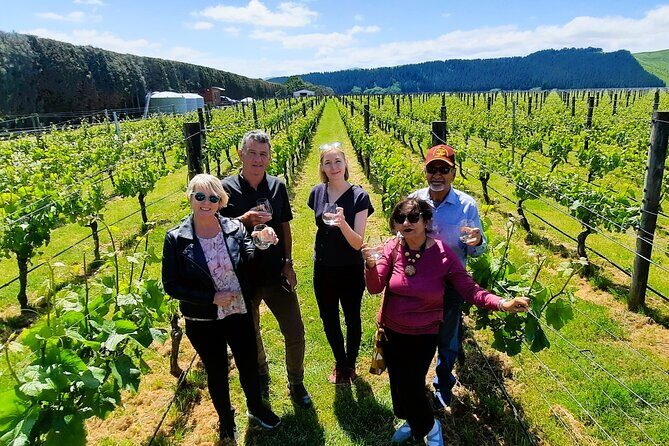 Half Day Martinborough Winery Tour from Wellington - Lunch Options and Additional Tastes