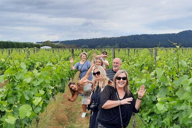 Half Day Martinborough Winery Tour from Wellington - The Return Journey and End of Tour