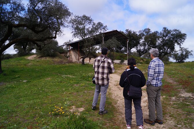 Half Day Megaliths Cromlech Tour From Evora by Archaeologists - Exploring the Cromlech of Almendres
