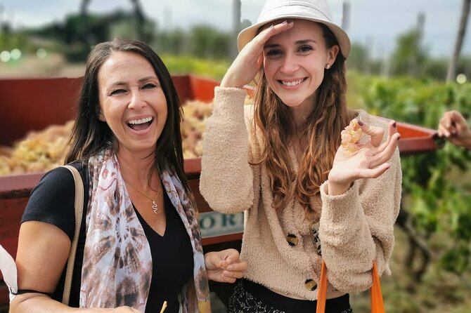 Half-Day Minardi Wine and Food Tour in Frascati - Insights From Recent Tour Reviews