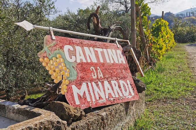 Half-Day Minardi Wine and Food Tour in Frascati - How to Prepare for Your Frascati Adventure